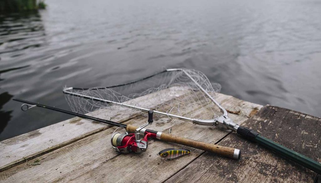 The Ultimate Guide to Freshwater Fishing: Techniques, Tips, and Top ...